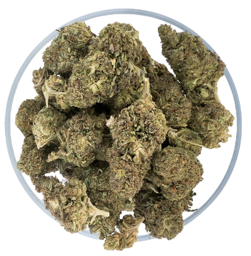 Buy Wholesale Delta 8, HHC, Legal THC & Bulk Discount Hemp #1 Supplier