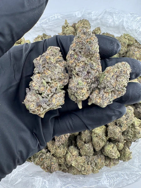 DS - Bulk Thca Indoor Exotic Flower - Gastro Pop - 31.48% - Sativa ...