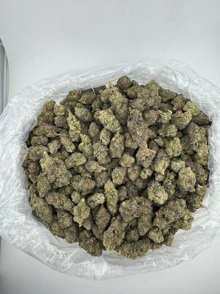 DS - Bulk Thca Indoor Exotic Flower - Gastro Pop - 31.48% - Sativa ...