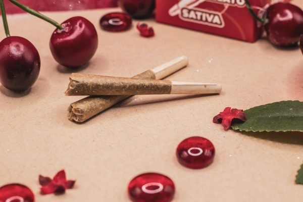 Zombi Blitz Stick - Black Cherry Gelato – THCP Pre-Rolls 2x1g (Sativa)