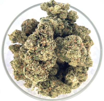 Buy Premium Bulk Wholesale Hemp CBD Flower - Indoor, Hydro, Greenhouse